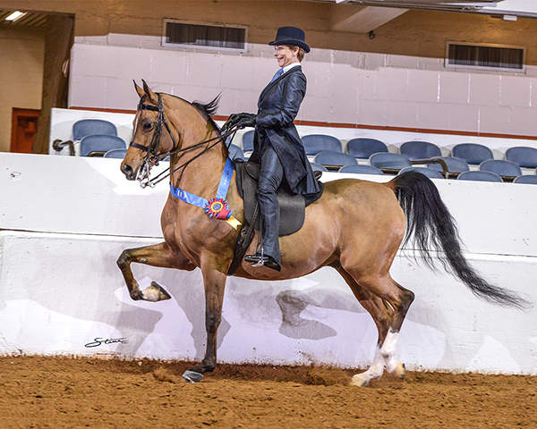 Lovatt & Ricketts - Hand Crafted, High Quality Saddles